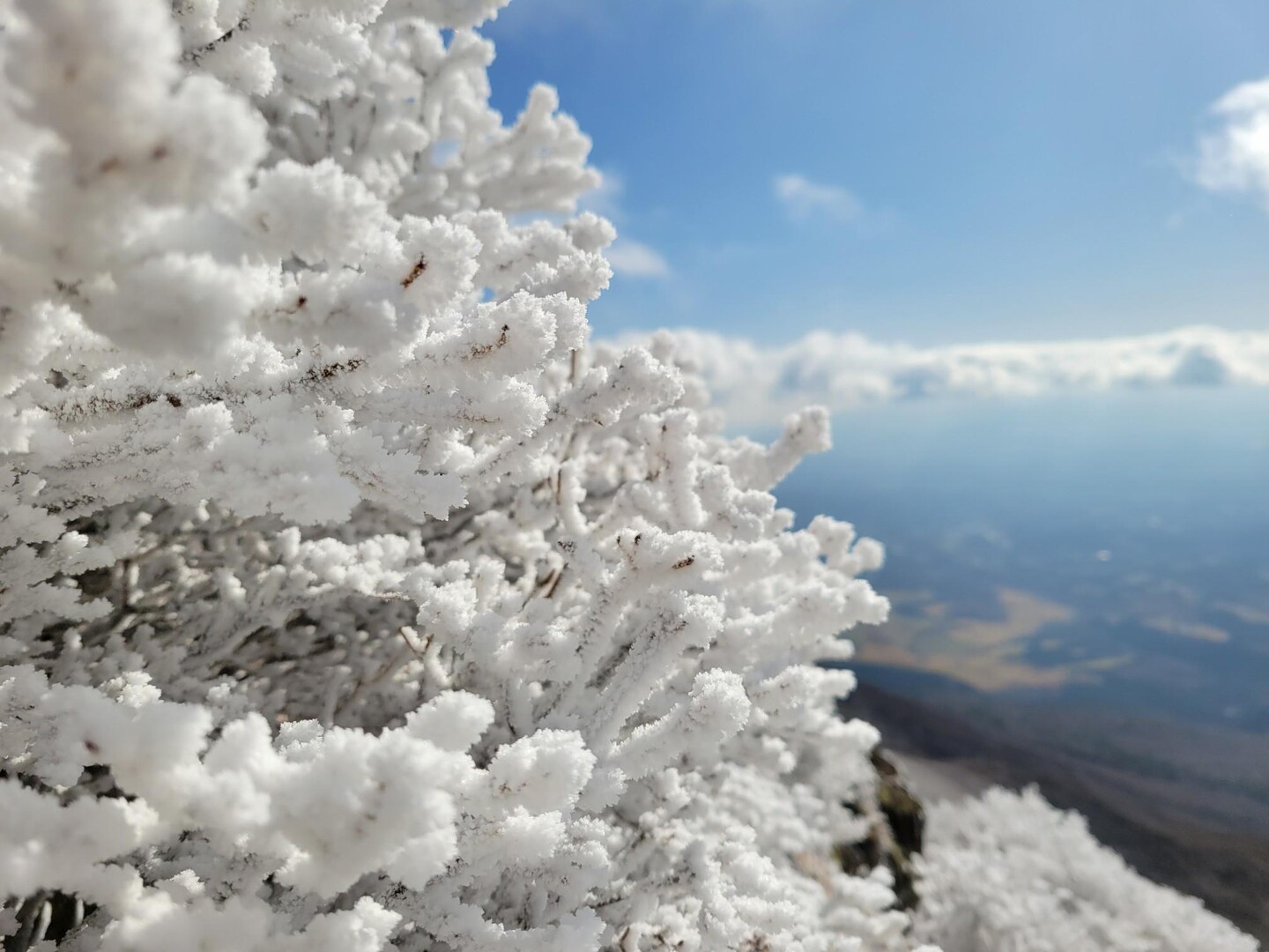 ｻﾑｻﾑ•ﾍﾄﾍﾄ登山😖 / ヤマしんSP🌾さんの九重山（久住山）・大船山・星生山の活動データ | YAMAP / ヤマップ