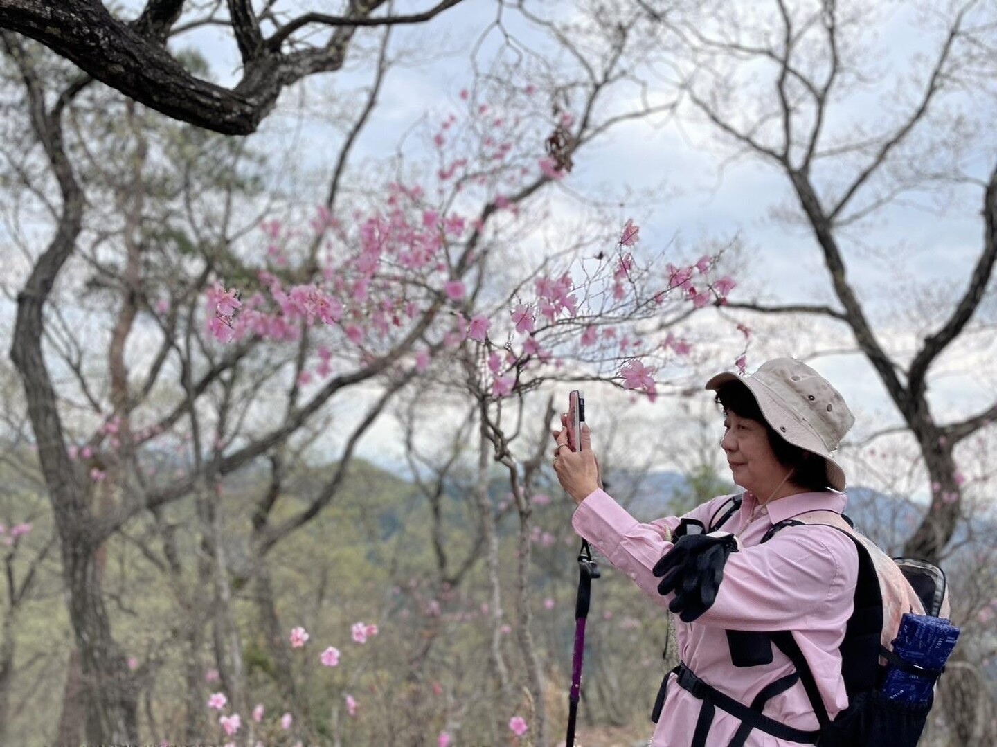 ヤシオ山アゲイン Yashioyama Again! / 裕子さんの三床山・金原山の活動データ | YAMAP / ヤマップ
