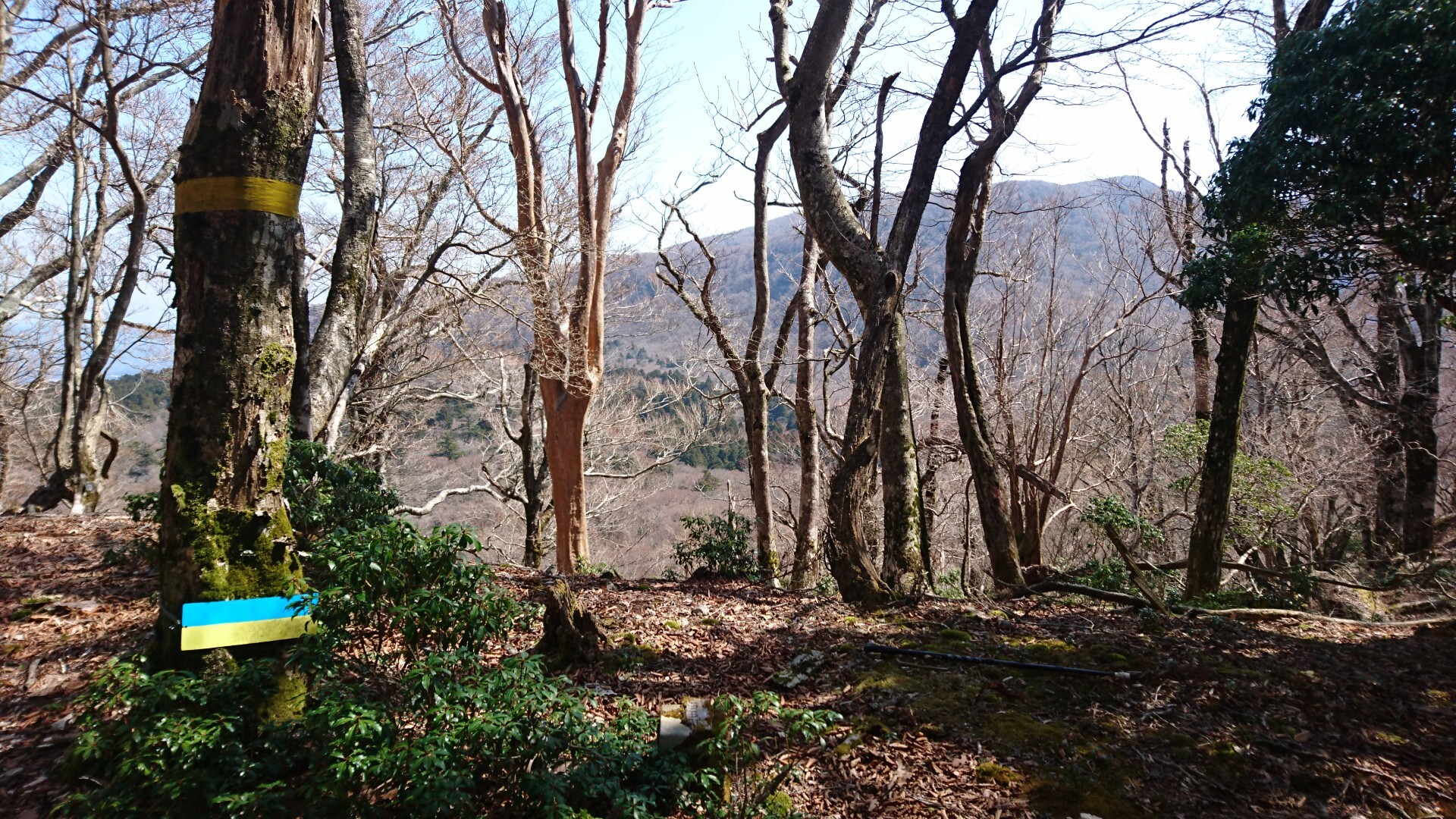 MASAさんの投稿したフィールドメモ | YAMAP / ヤマップ