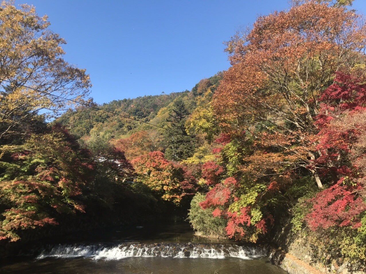 京都の比叡山の麓の八瀬川です。 紅葉真っ... / masaさんのモーメント | YAMAP / ヤマップ