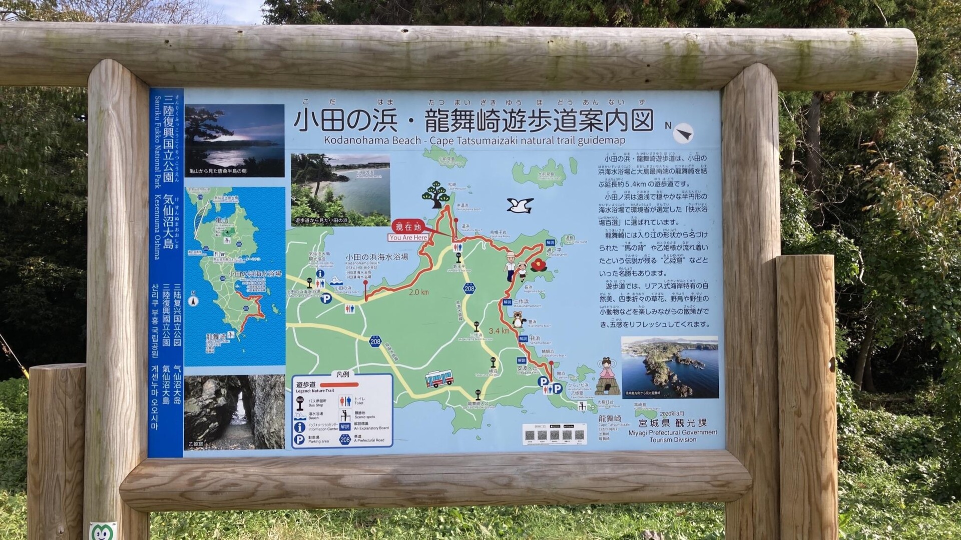 龍舞崎遊歩道(MCT) / HKさんの亀山の活動データ | YAMAP / ヤマップ