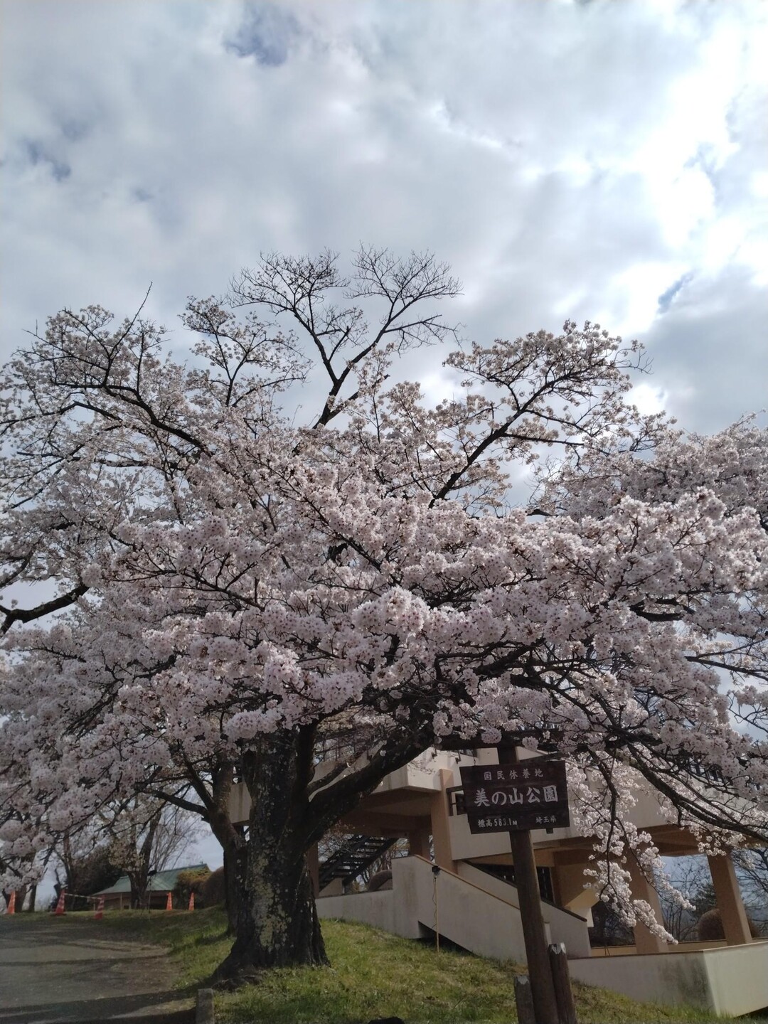 FTRみなの50試走 / sanfreさんの堂平山・笠山（乳房山）・大霧山の活動データ | YAMAP / ヤマップ