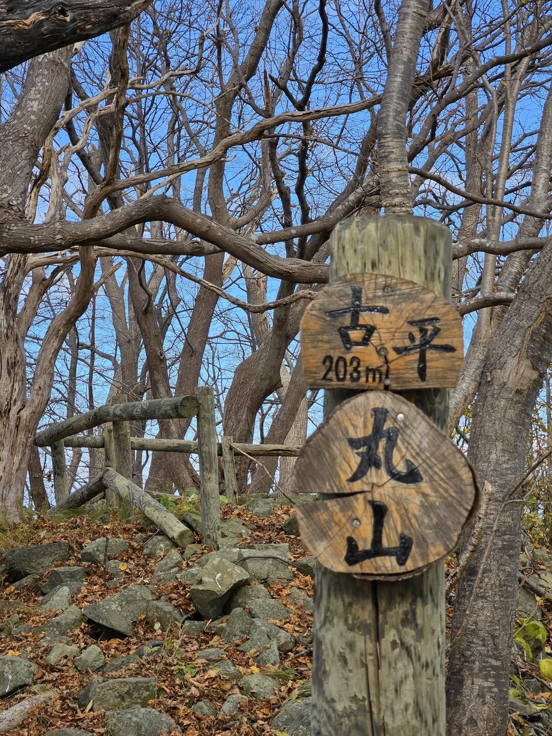 古平丸山 / ティーパンさんの積丹半島北部・積丹岳の活動データ | YAMAP / ヤマップ