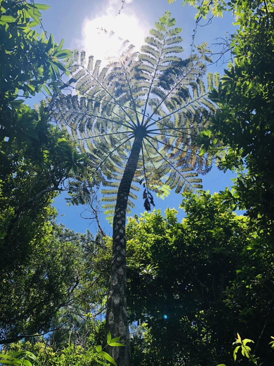 ayaのページ | YAMAP / ヤマップ