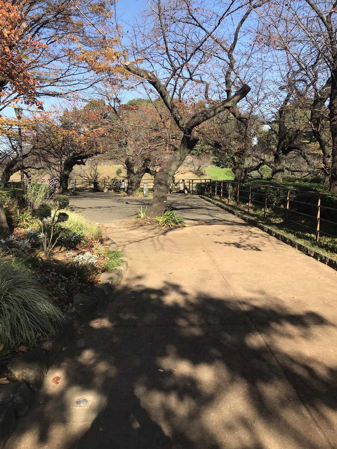 銀座駅から九段下駅まで4.5km歩く / ぽじっさんのウォーキングの活動データ | YAMAP / ヤマップ