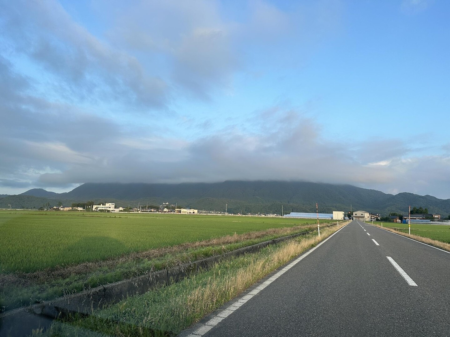 朝活⛰🏃おやひこさま / Mr.kさんの弥彦山・多宝山・雨乞山の活動データ | YAMAP / ヤマップ