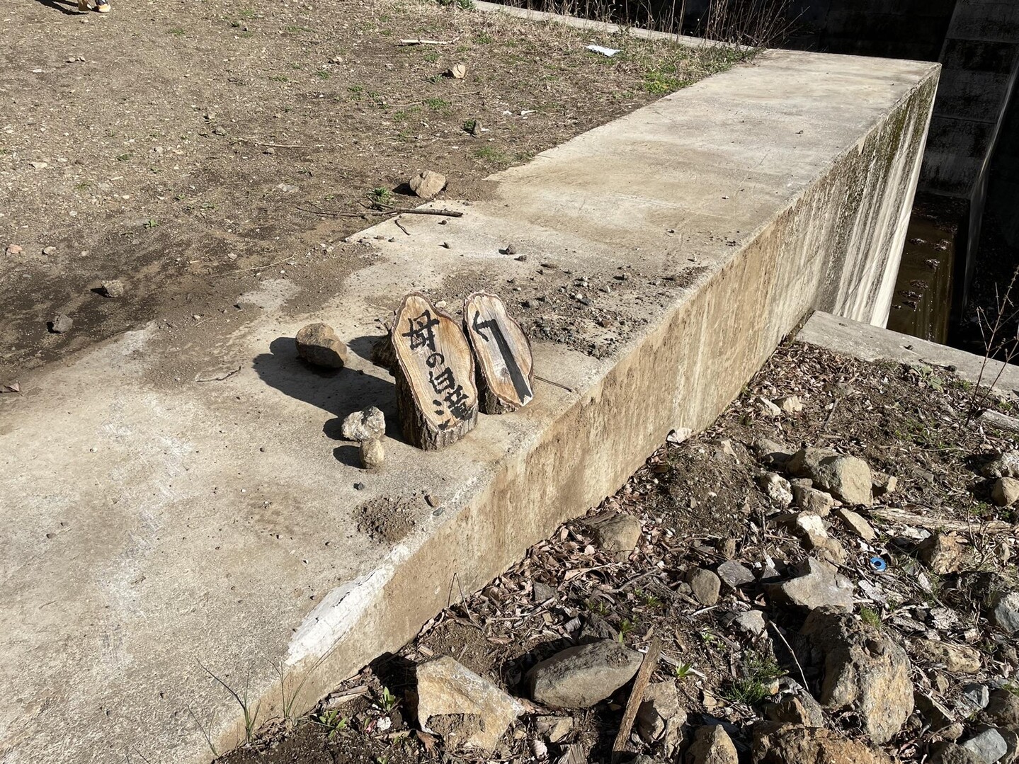 tsk-chaponさんの投稿したフィールドメモ | YAMAP / ヤマップ