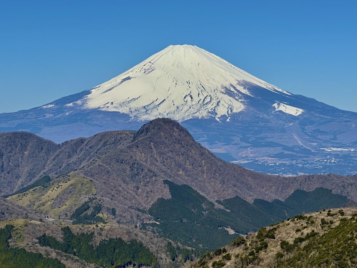 明星⇨明神⇨金時🏃‍♀️縦走 / aayanさんの金時山・明神ヶ岳の活動データ | YAMAP / ヤマップ