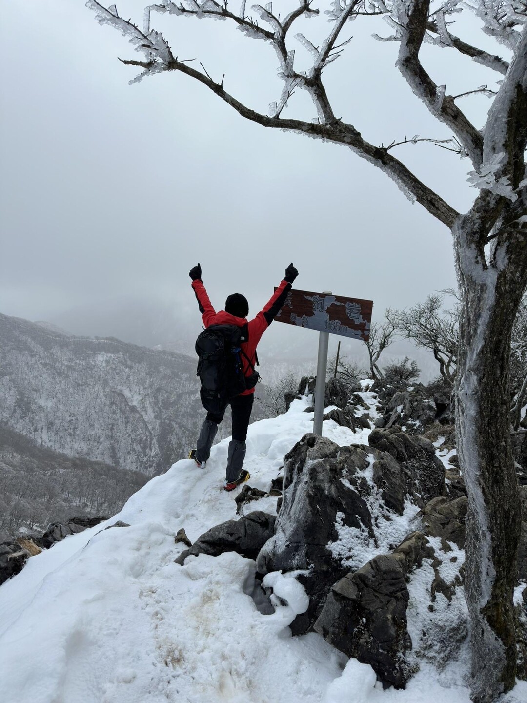 天狗岩→藤原岳（登山道はカッチカチのこちんこちんこ） / ハードコアオムライスさんの藤原岳・御池岳の活動データ | YAMAP / ヤマップ