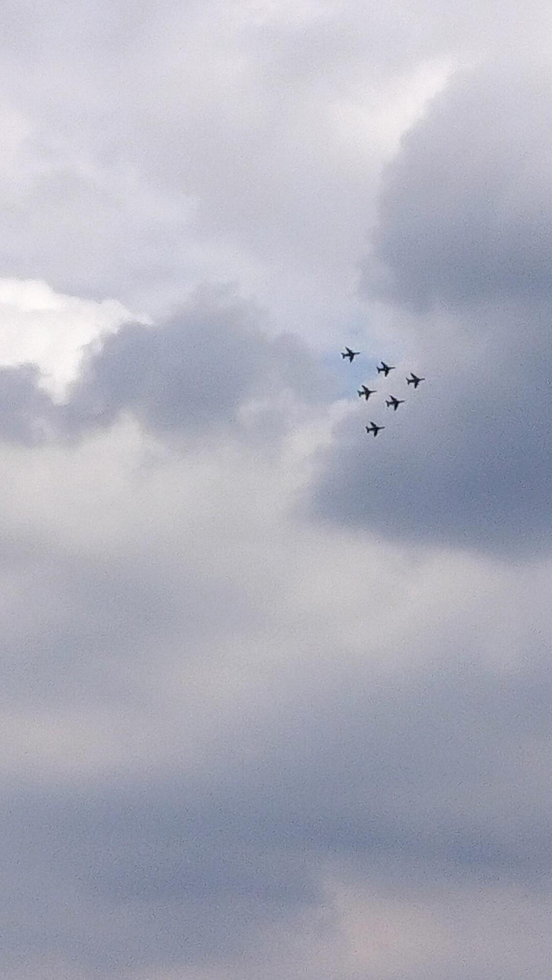 ブルーインパルスが川崎市制100周年のイ... / にくじゃがさんのモーメント | YAMAP / ヤマップ