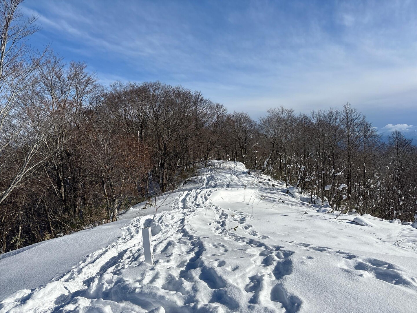 東根山歩 2025.01.13 / JJさんの南昌山・東根山・箱ヶ森の活動データ | YAMAP / ヤマップ