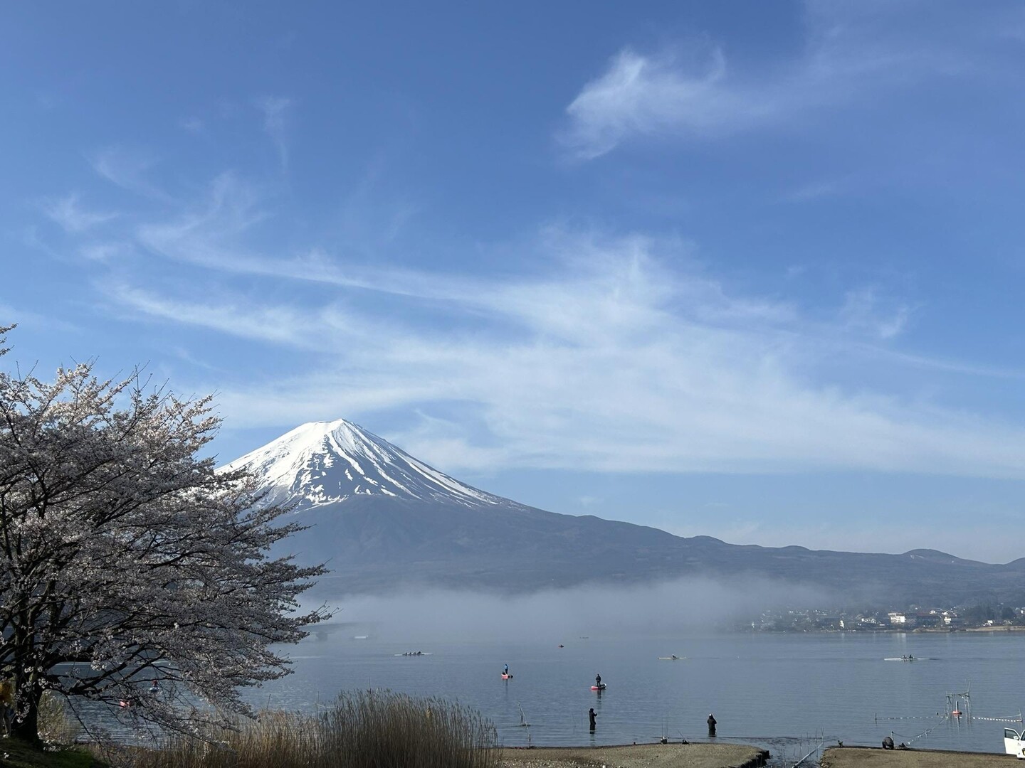 富士山🗻三昧 ️その2 場所を河口湖... / conyさんのモーメント | YAMAP / ヤマップ