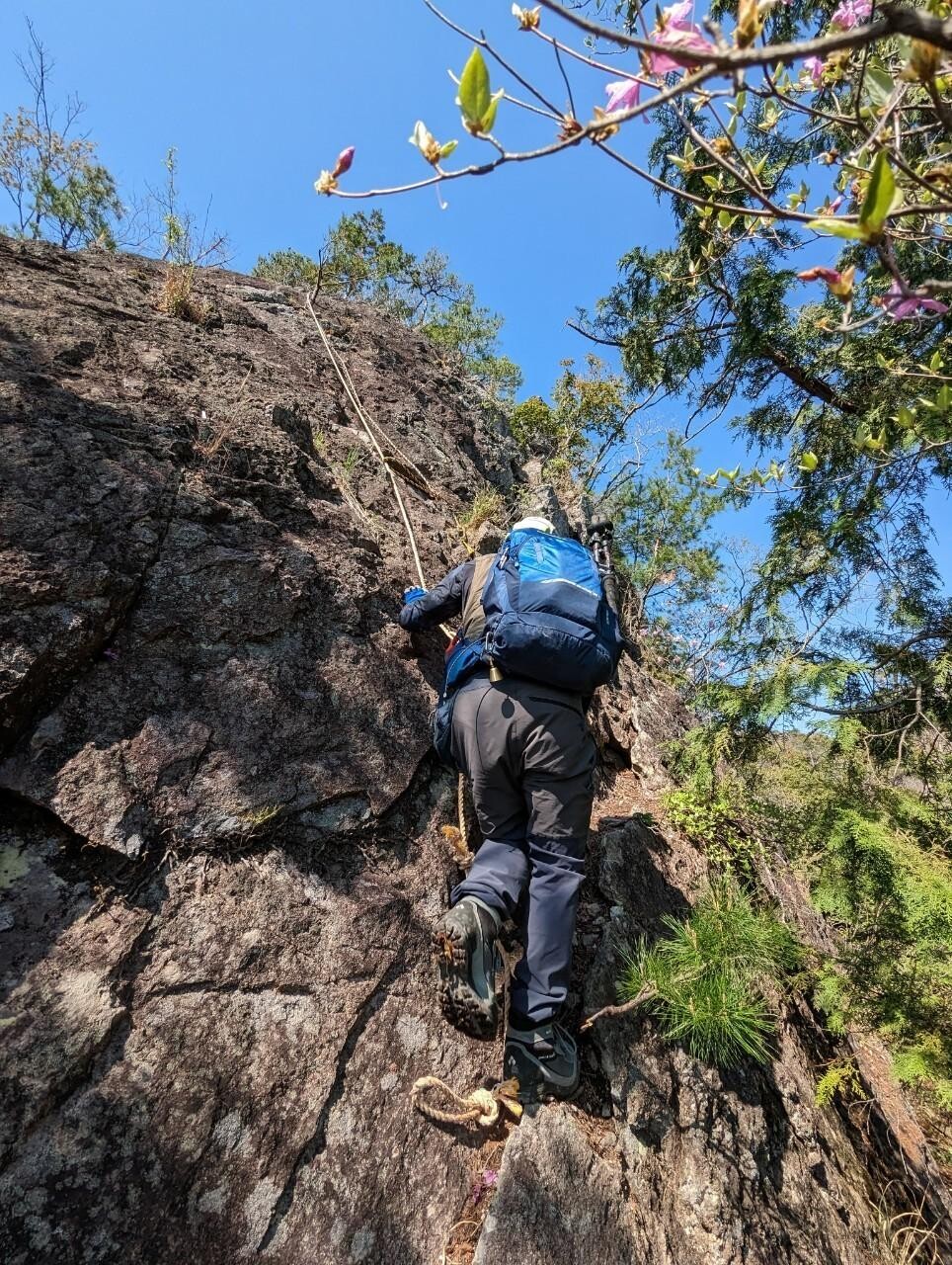 裏明神アテンド / ya.junさんの明神山・太郎岳の活動データ | YAMAP / ヤマップ