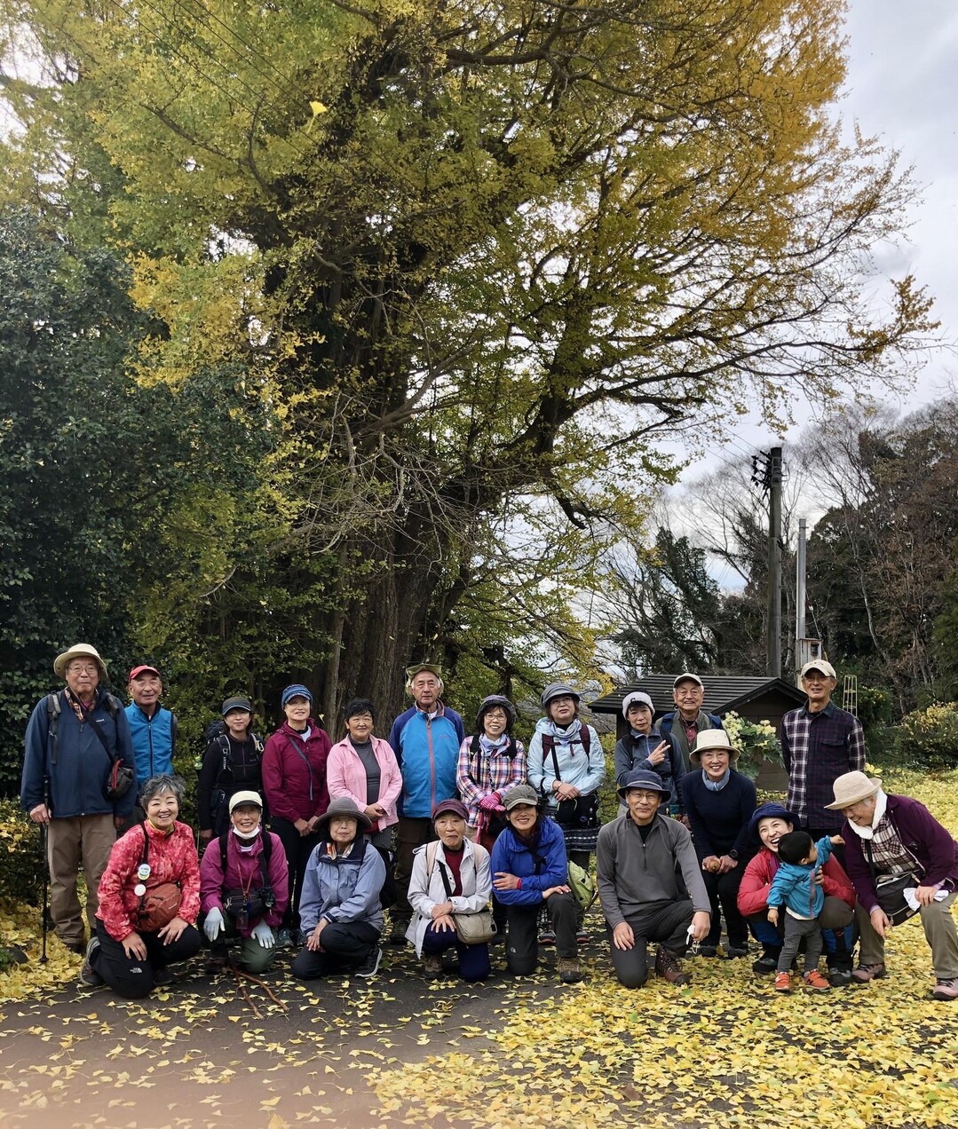 愛宕山 / carolさんの羽山の活動日記 | YAMAP / ヤマップ