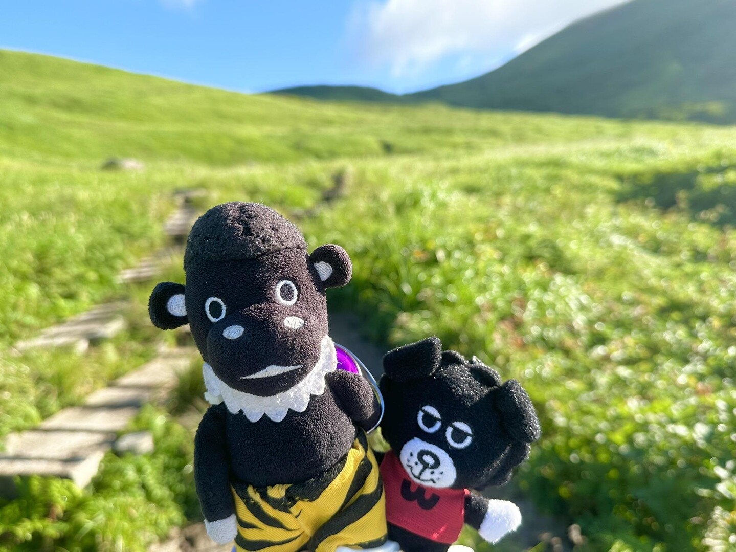 月山 / Y.PANDAさんの月山の活動データ | YAMAP / ヤマップ