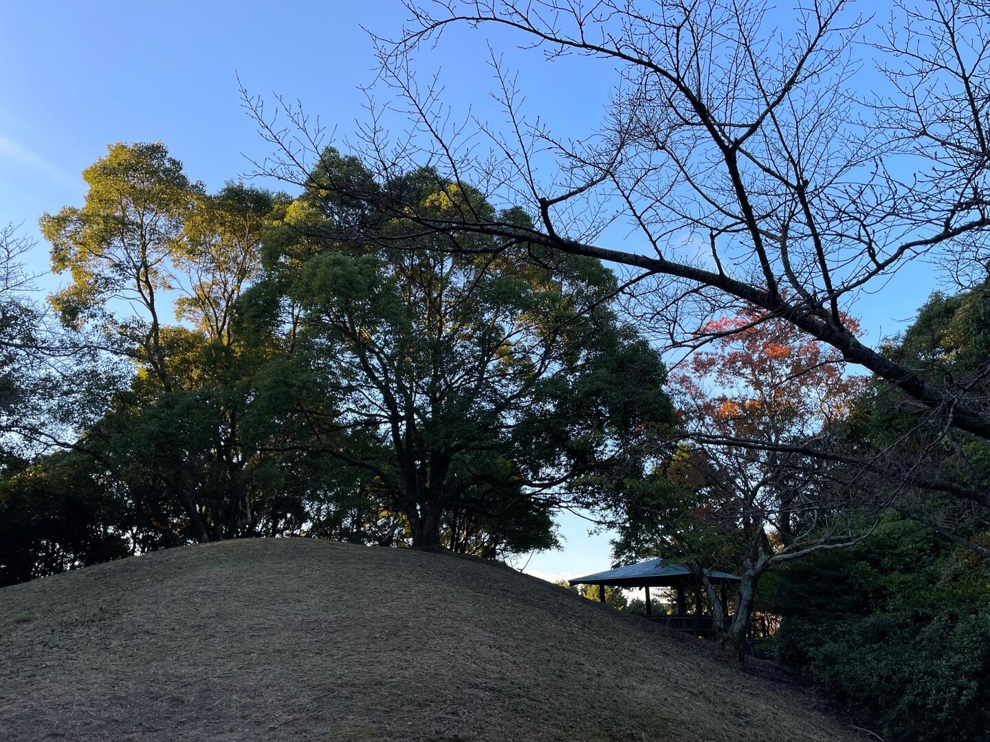 LiGhTさんの投稿したフィールドメモ | YAMAP / ヤマップ