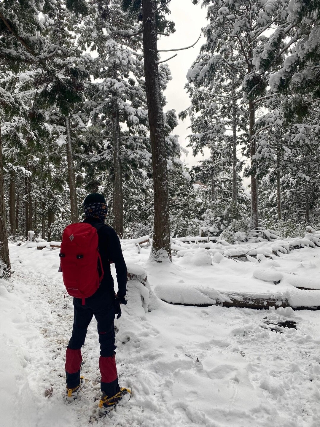 寒波到来！観音峯山 / hidekixさんの観音峯山・大普賢岳・山上ヶ岳・稲村ヶ岳の活動データ | YAMAP / ヤマップ