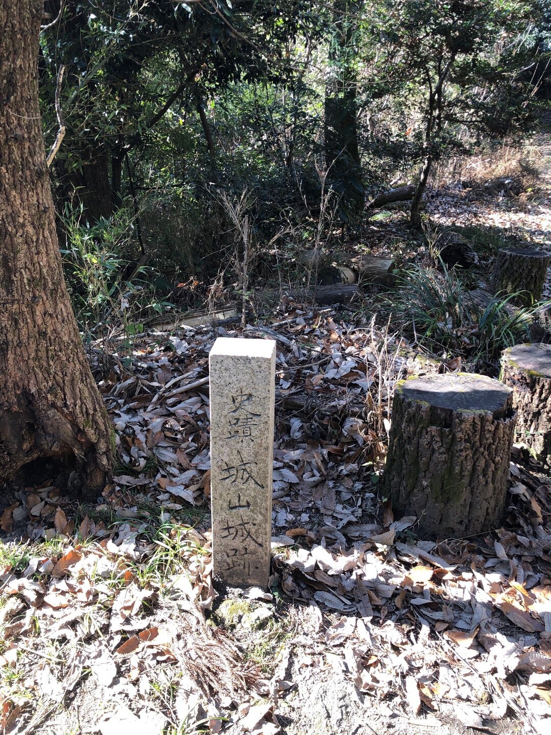 くいだおれさんの投稿したフィールドメモ | YAMAP / ヤマップ