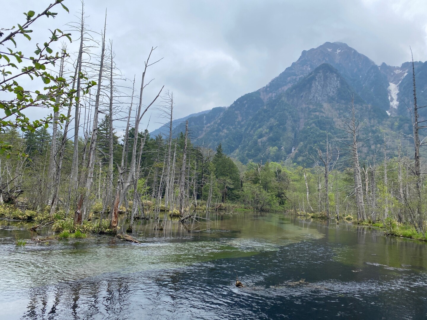 ぶらり 妻と二人で上高地 / TACK🥷さんの槍ヶ岳・穂高岳・上高地の活動データ | YAMAP / ヤマップ