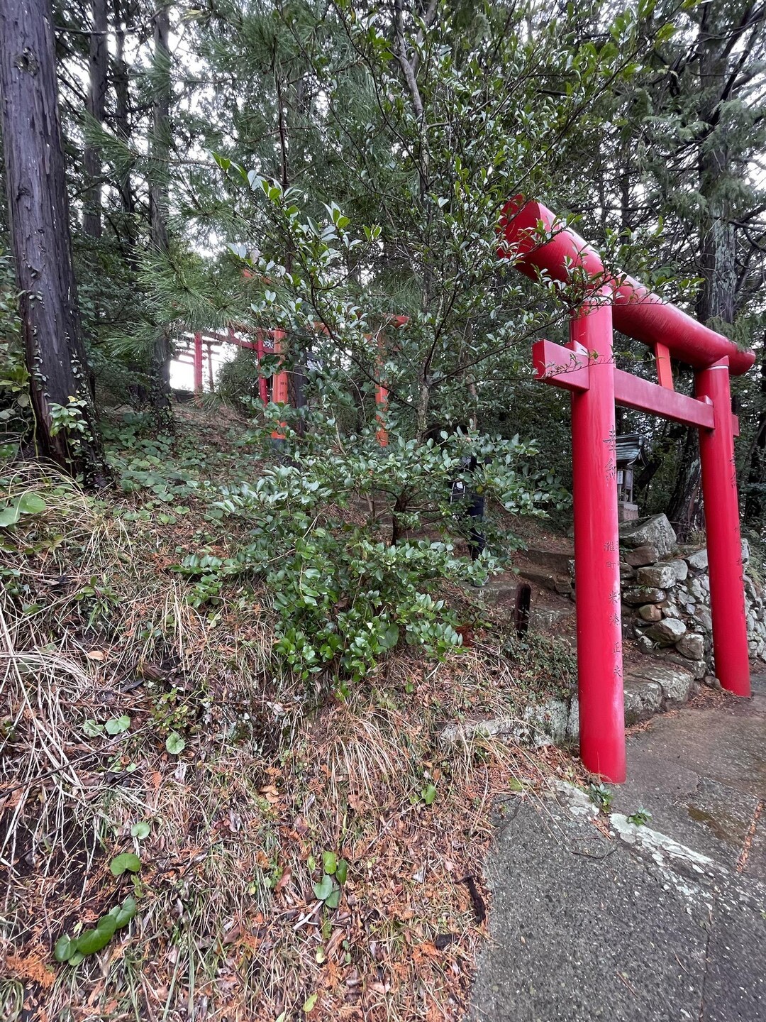 本尊山 / masさんの四国遍路その14の活動データ | YAMAP / ヤマップ