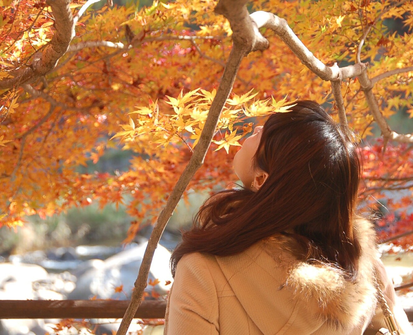 RURIHAのページ | YAMAP / ヤマップ