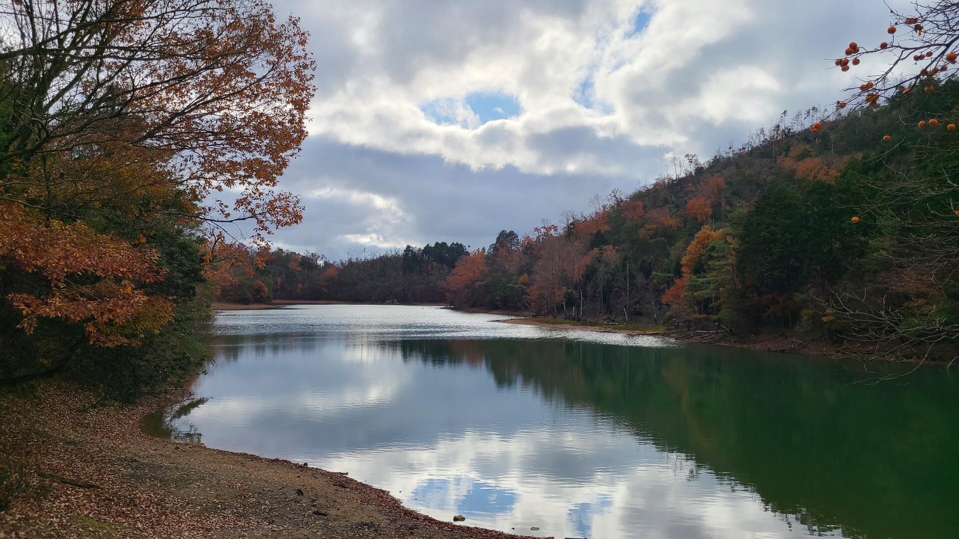 向山・城山 / naOmi-n7さんの京都一周トレイルの活動データ | YAMAP / ヤマップ