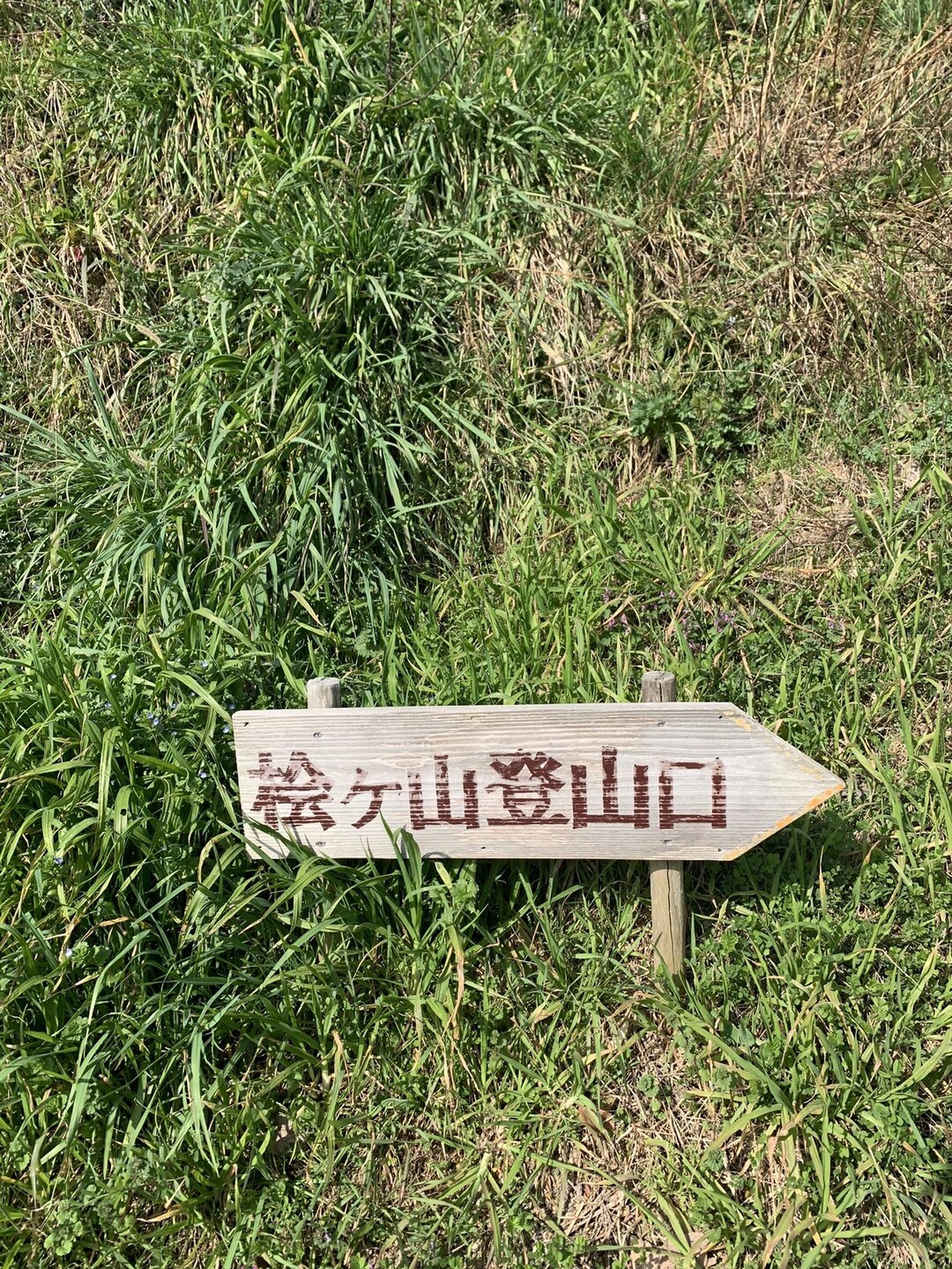 桧ヶ山 / uzuさんの大船山・鍋池山の活動データ | YAMAP / ヤマップ