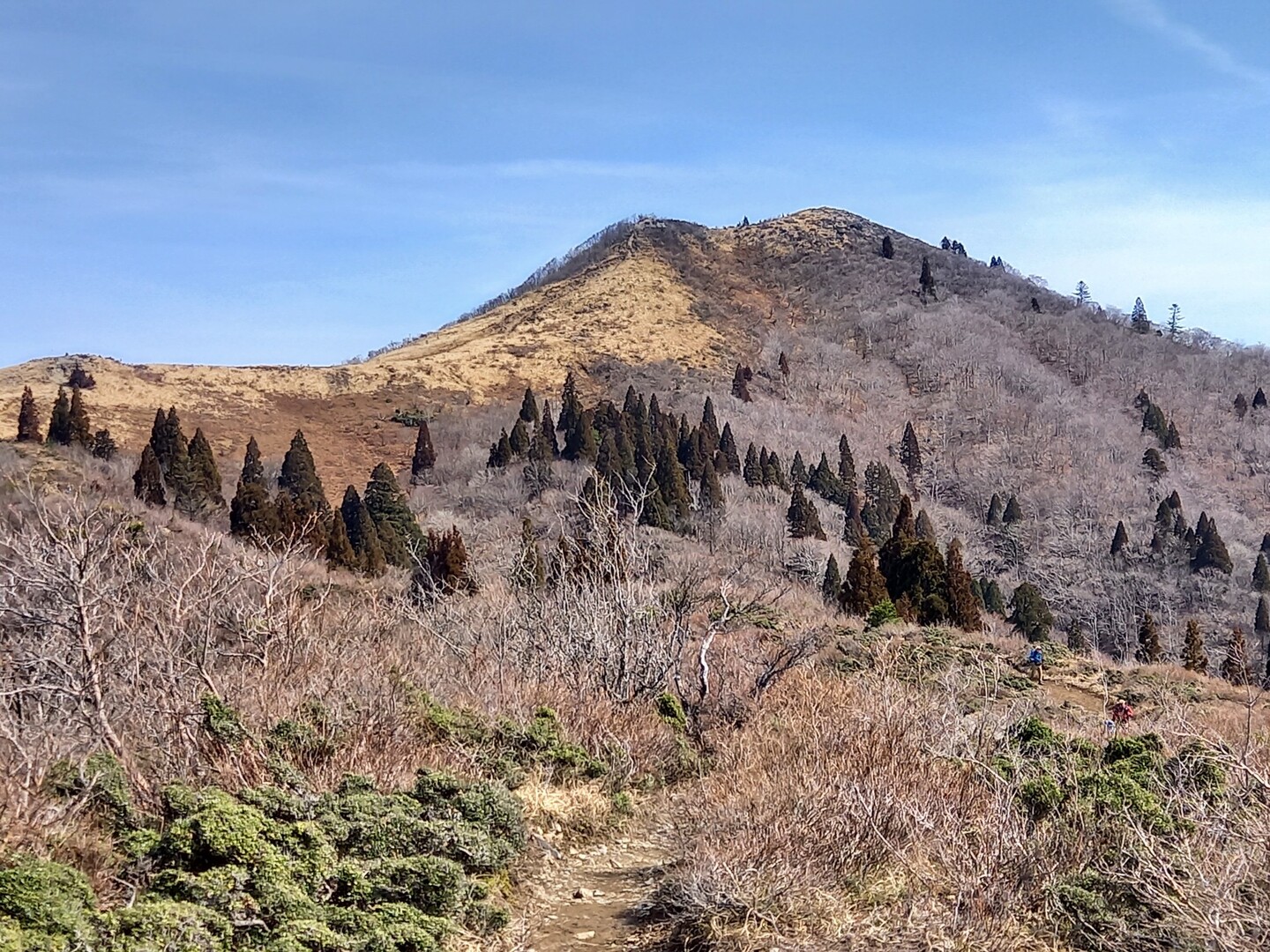 武奈ヶ岳 / jun8さんの比良山地・武奈ヶ岳・釈迦岳の活動データ | YAMAP / ヤマップ