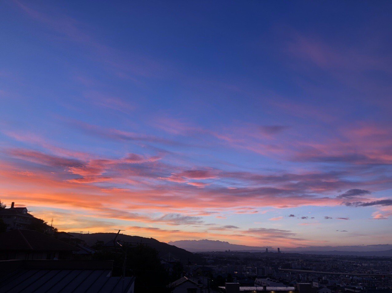 天宮塚 / わくわくarcさんの六甲山・長峰山・摩耶山の活動データ | YAMAP / ヤマップ