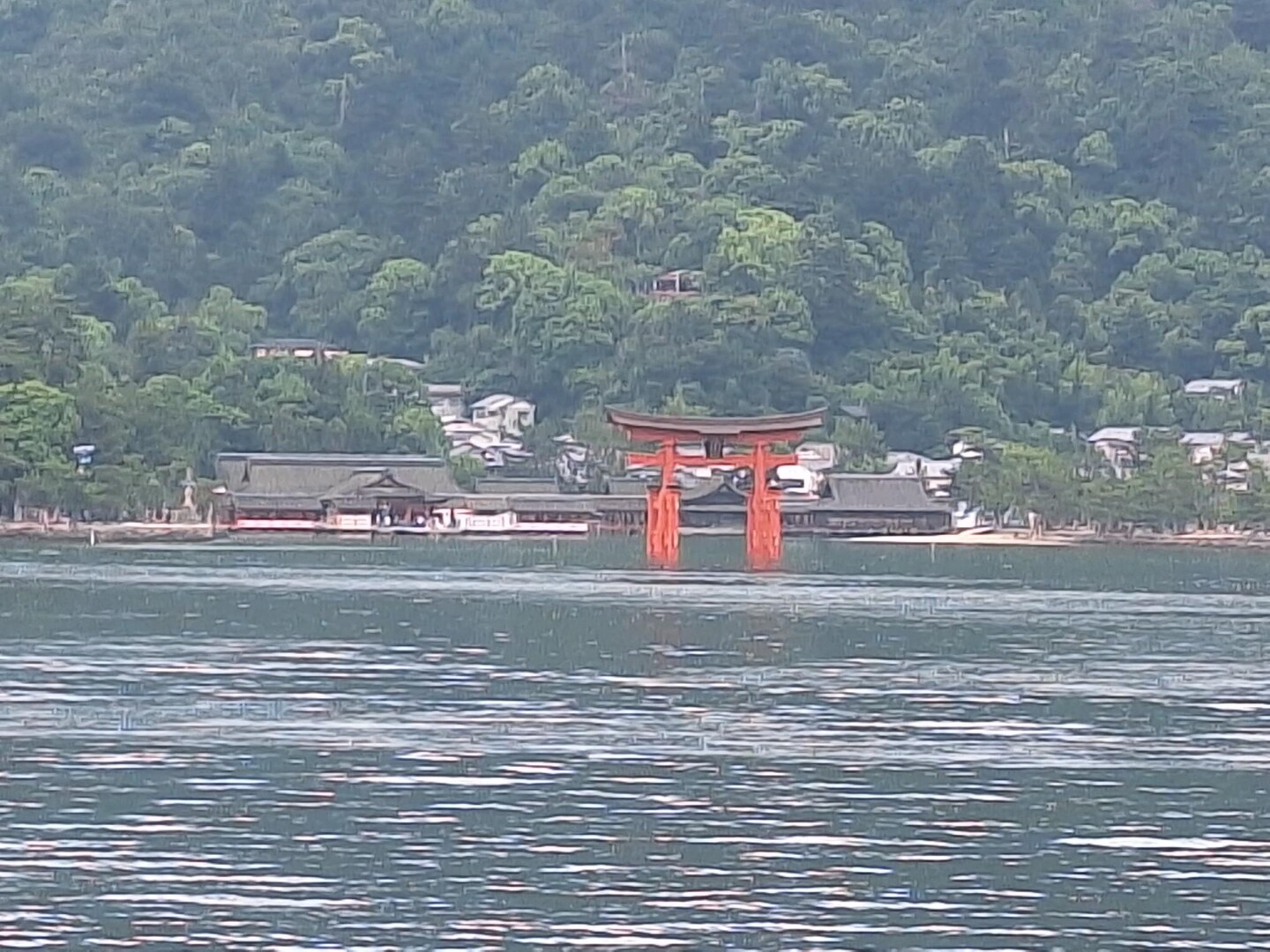 今週は 登山お休みweek💮 広島・岡... / 赤べこさんのモーメント | YAMAP / ヤマップ