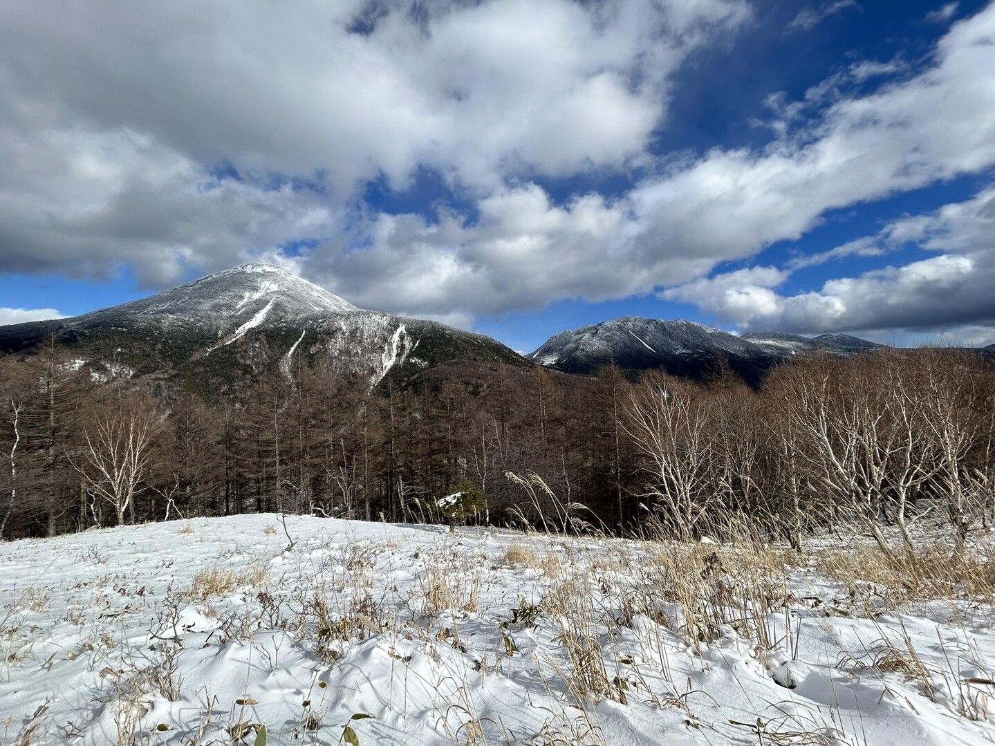八子ヶ峰 / tomtomさんの蓼科山・横岳・縞枯山の活動データ | YAMAP / ヤマップ