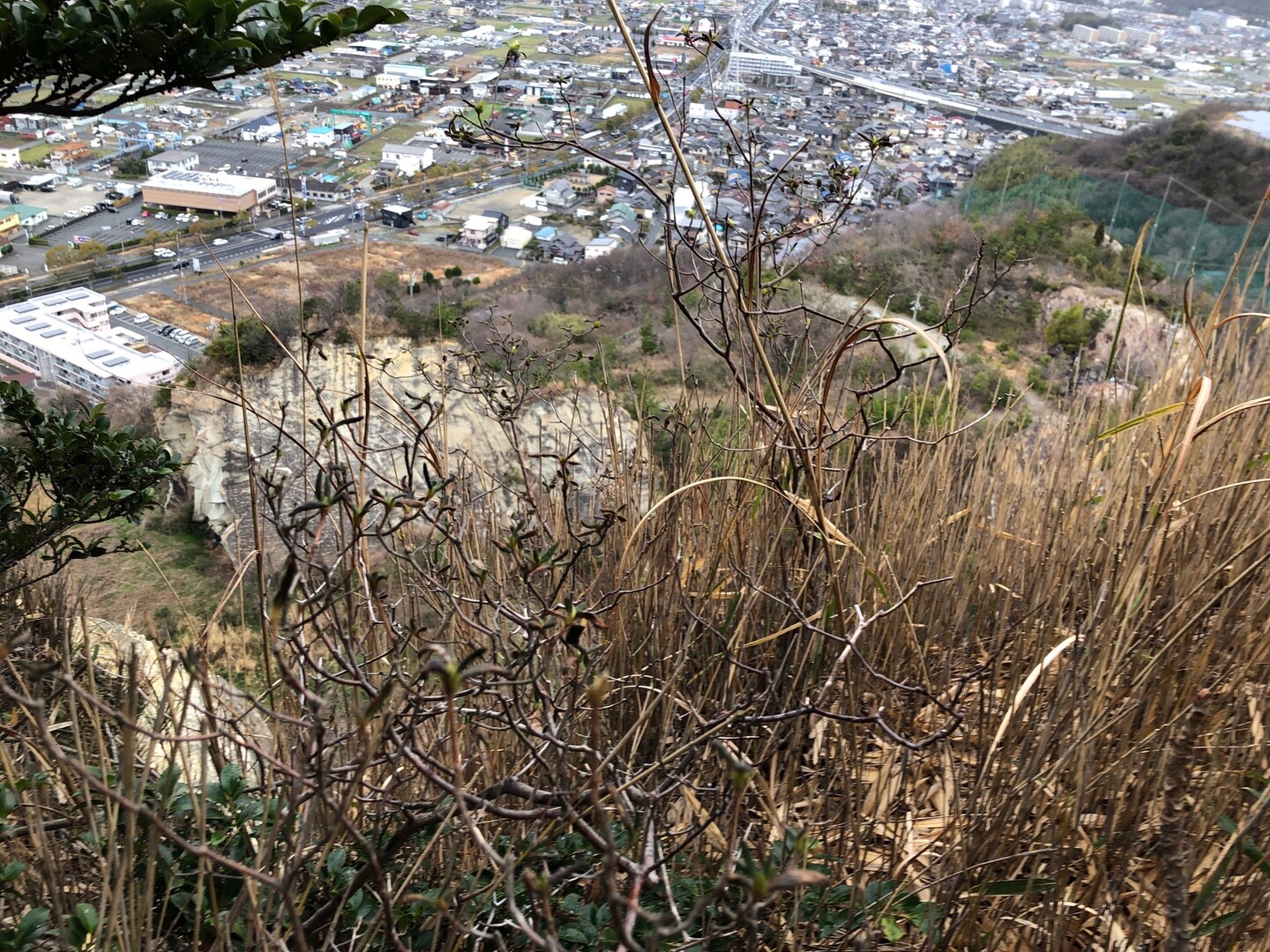 idasさんの投稿したフィールドメモ | YAMAP / ヤマップ