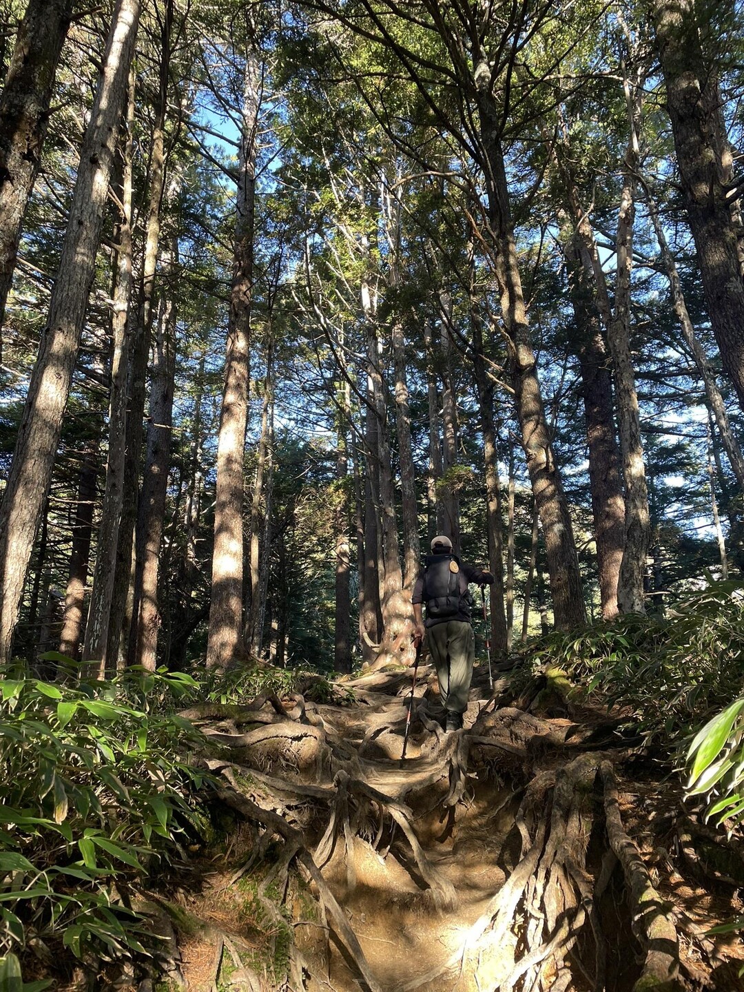 合戦沢の頭・燕岳 / sumiさんの燕岳・餓鬼岳・唐沢岳の活動データ | YAMAP / ヤマップ
