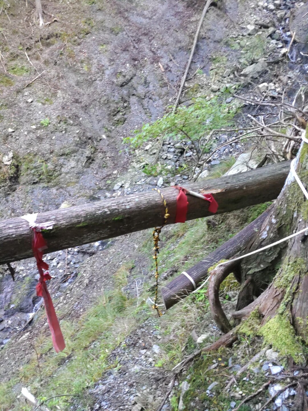 Rioさんの投稿したフィールドメモ | YAMAP / ヤマップ