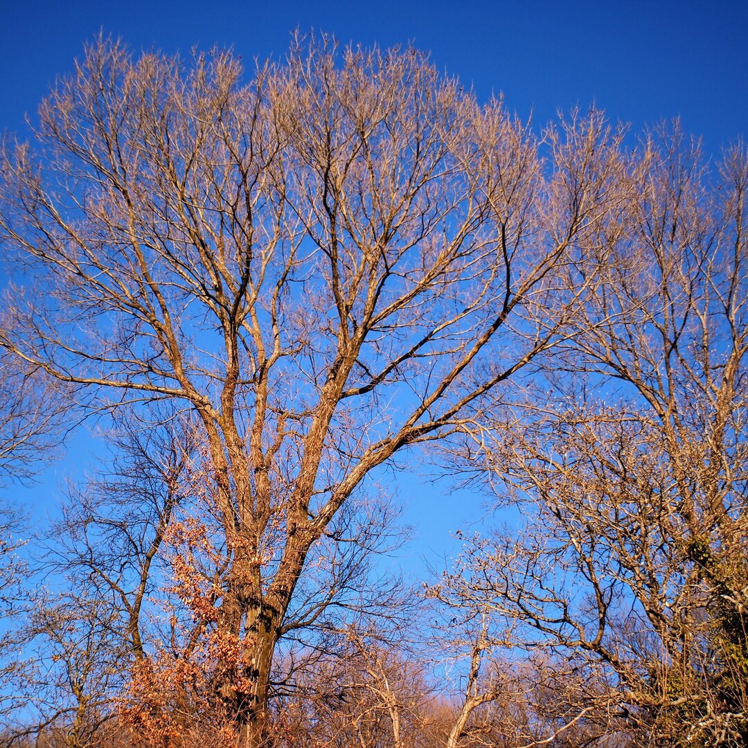 赤城自然園 29回目。 今日から営業開始... / Hikoさんのモーメント | YAMAP / ヤマップ