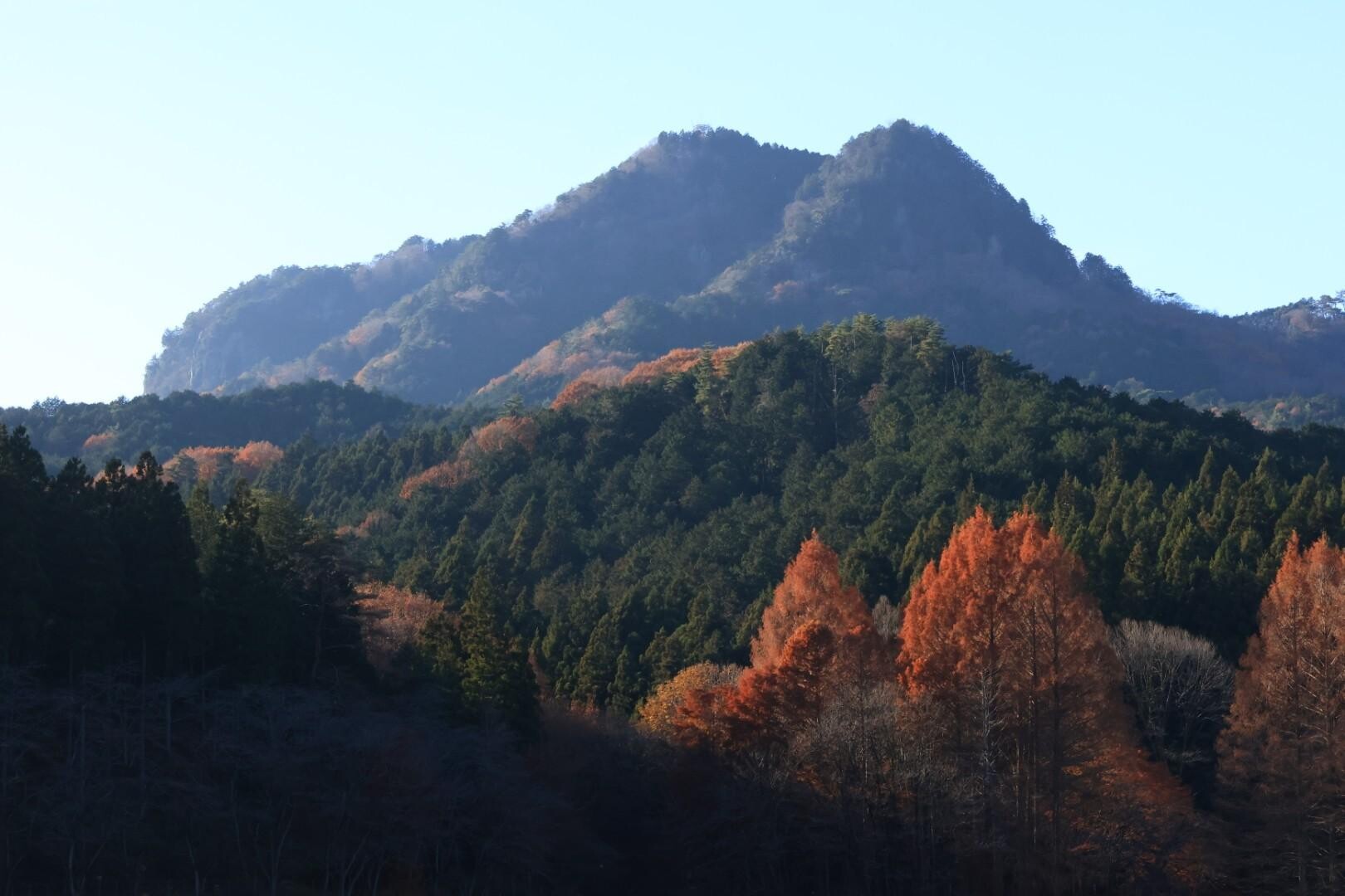 古賀志山周回再チャレンジ( •̀ •́ )୨⚑︎゛ / T☆Yamameさんの古賀志山・赤岩山・鞍掛山・男抱山・半蔵山の活動データ | YAMAP / ヤマップ
