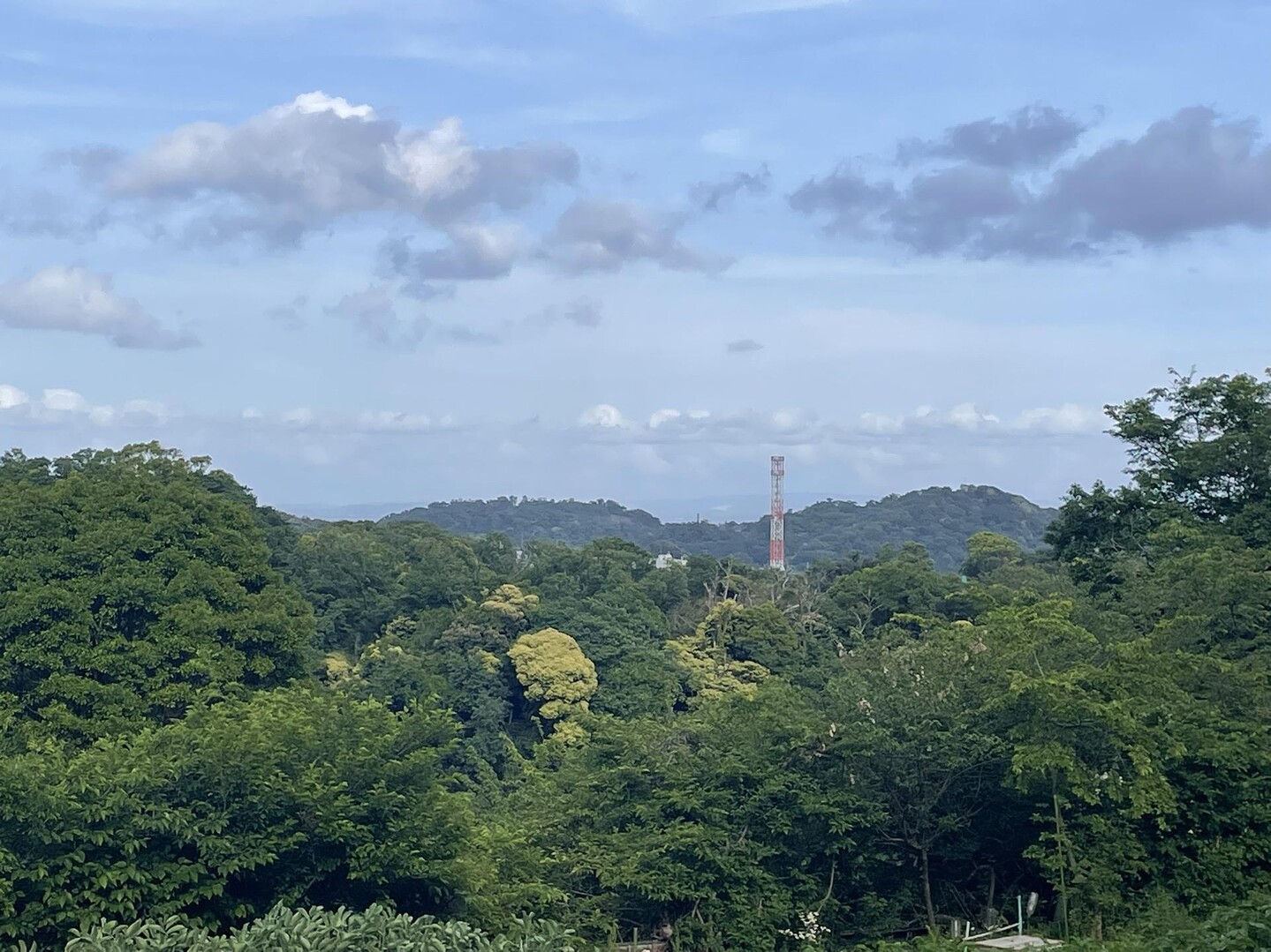 GW初日は主人とお散歩🎏 / 🌸かなかな🎶さんのモーメント | YAMAP / ヤマップ
