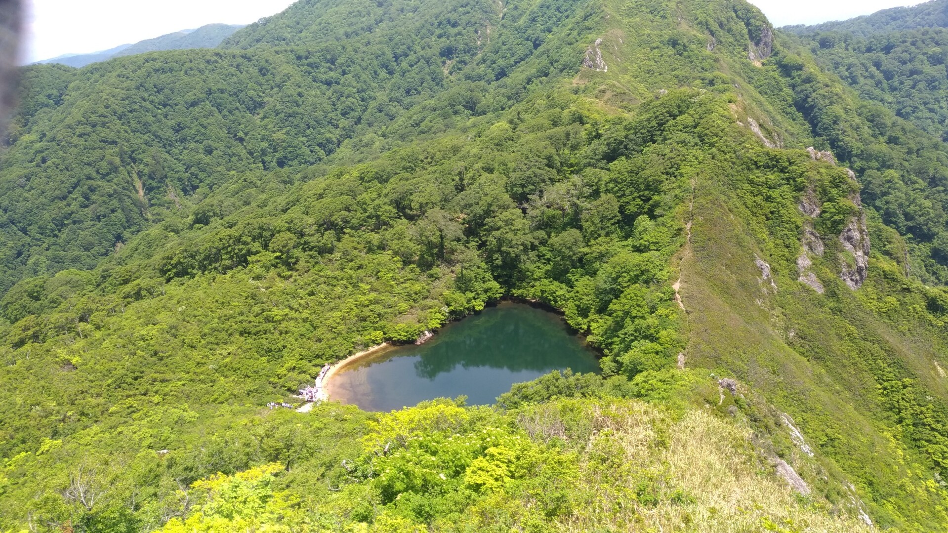 本日開通、夜叉ヶ池山-2019-06-01 / tr_hiroさんの夜叉ヶ池山・三周ヶ岳の活動データ | YAMAP / ヤマップ