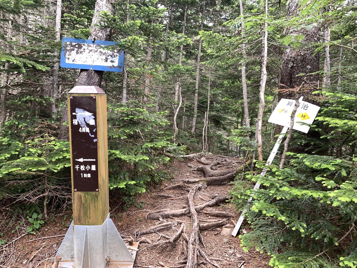 nonpui(ノンプイ)さんの投稿したフィールドメモ | YAMAP / ヤマップ