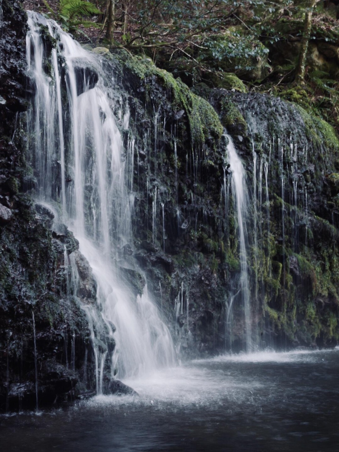 東海道デジタルスタンプラリー最終日 箱根編 / 23nさんの箱根山・神山の活動データ | YAMAP / ヤマップ