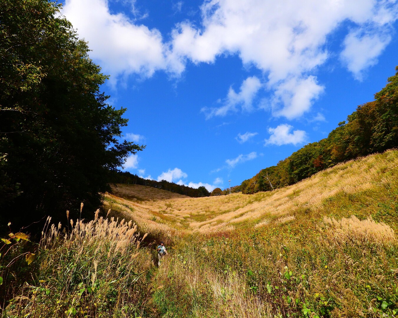 秋晴れの藻岩山♪ / pon(夫) ＆ 連れ(妻)さんの札幌市の活動データ | YAMAP / ヤマップ