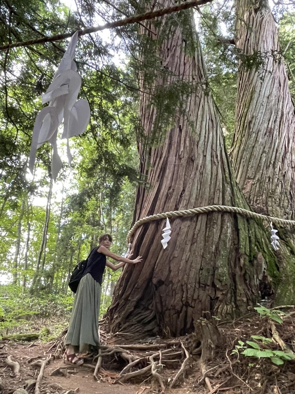 ユーザーkeiko_tのページ | YAMAP / ヤマップ