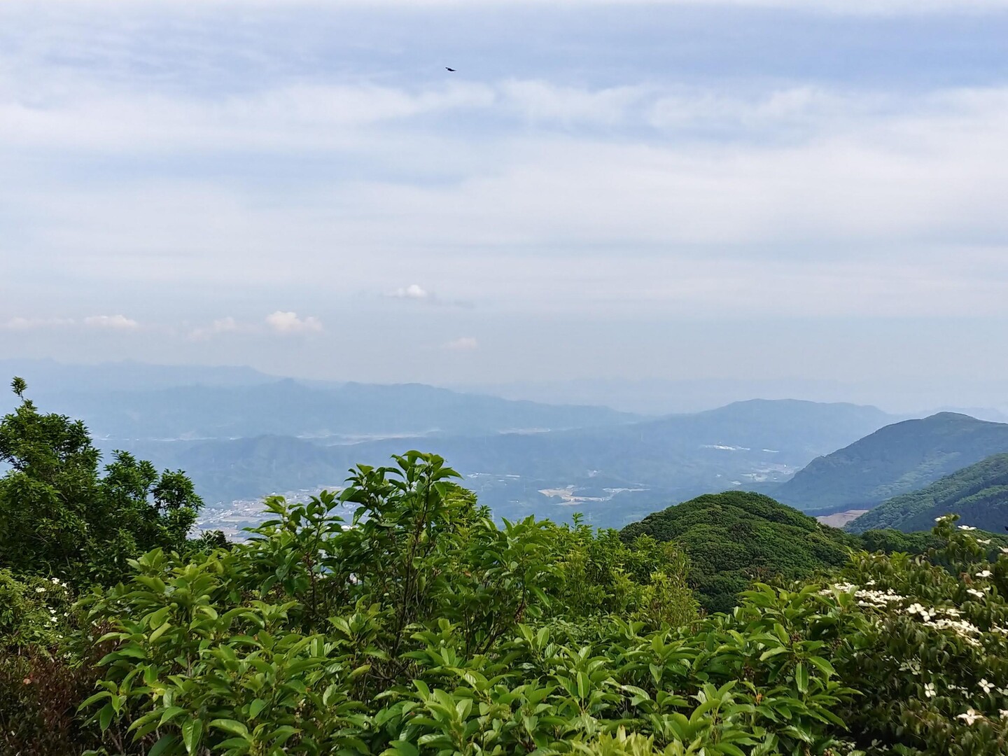 八天岳・多利山・小塚岳・国見山 / marupaさんの国見山の活動データ | YAMAP / ヤマップ