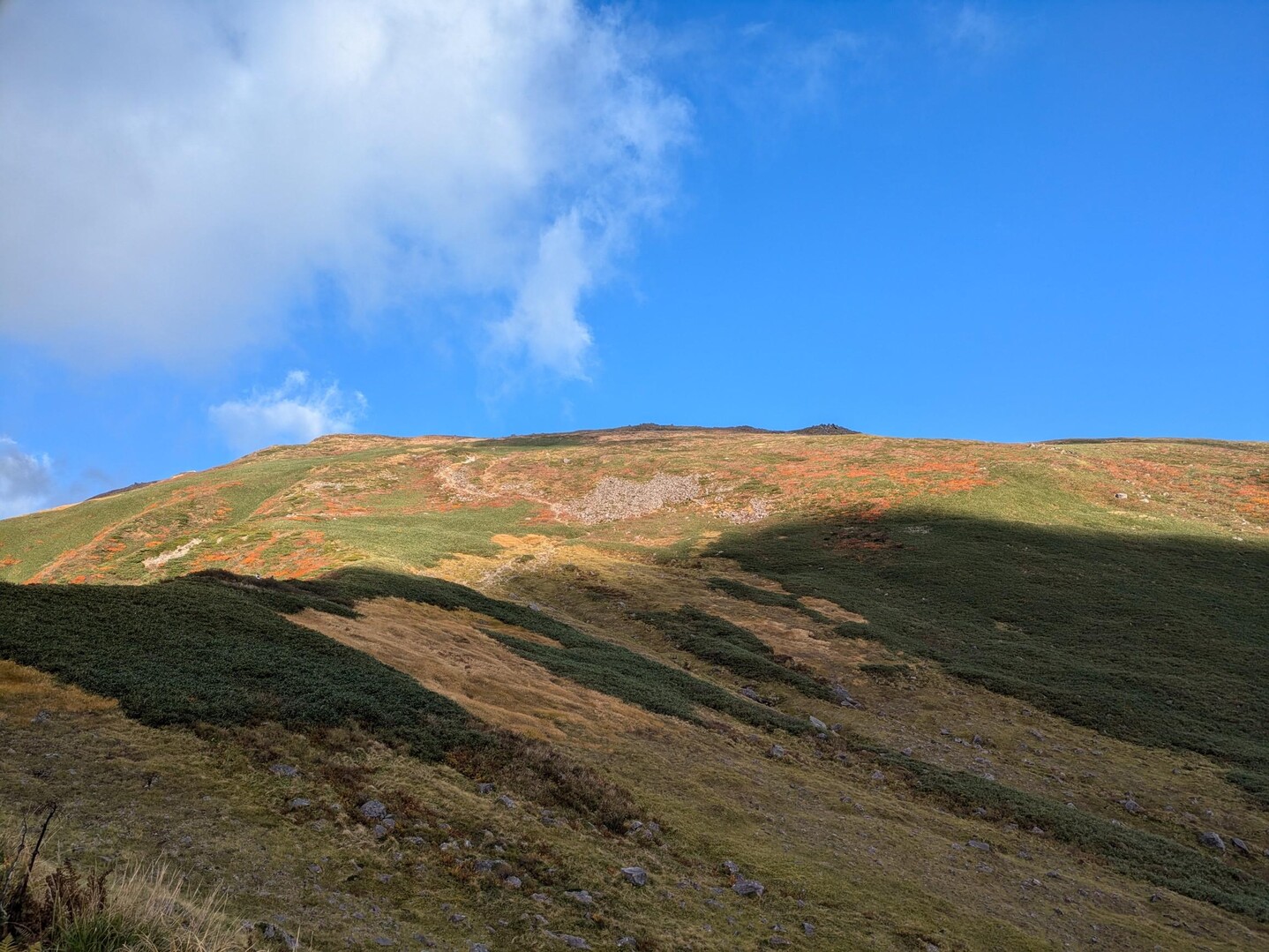草紅葉と紅葉の合算月山 / ryさんの月山の活動データ | YAMAP / ヤマップ
