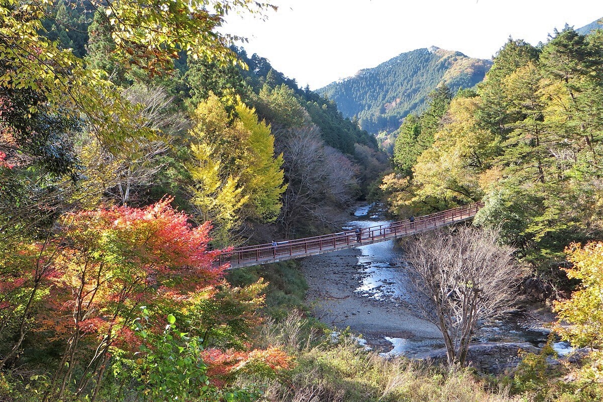 秋川渓谷で紅葉🍁〜ひまわり🌻 A Luckyさんの大岳山・御岳山・御前山の活動データ Yamap ヤマップ