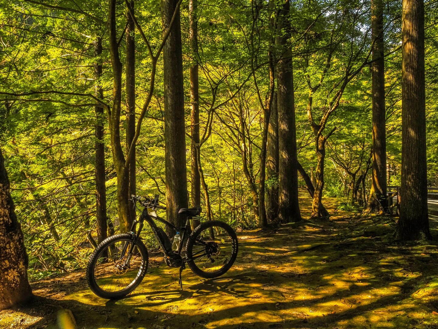 E-bikeで行く岡山・鏡野町 / yummyさんの泉山・井水山・黒沢山の活動データ | YAMAP / ヤマップ