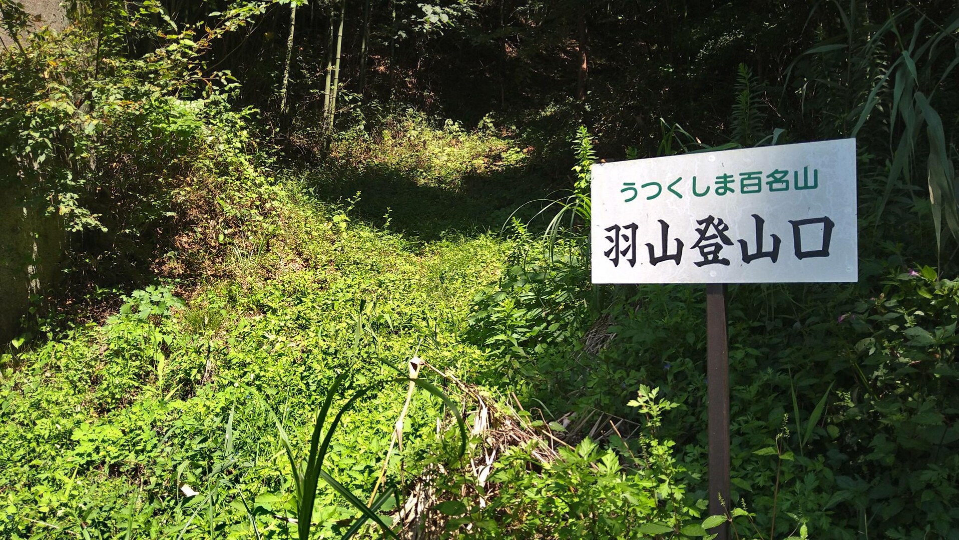 『新うつくしま百名山』羽山（福島県伊達市） / T☆Yamameさんの羽山の活動データ | YAMAP / ヤマップ