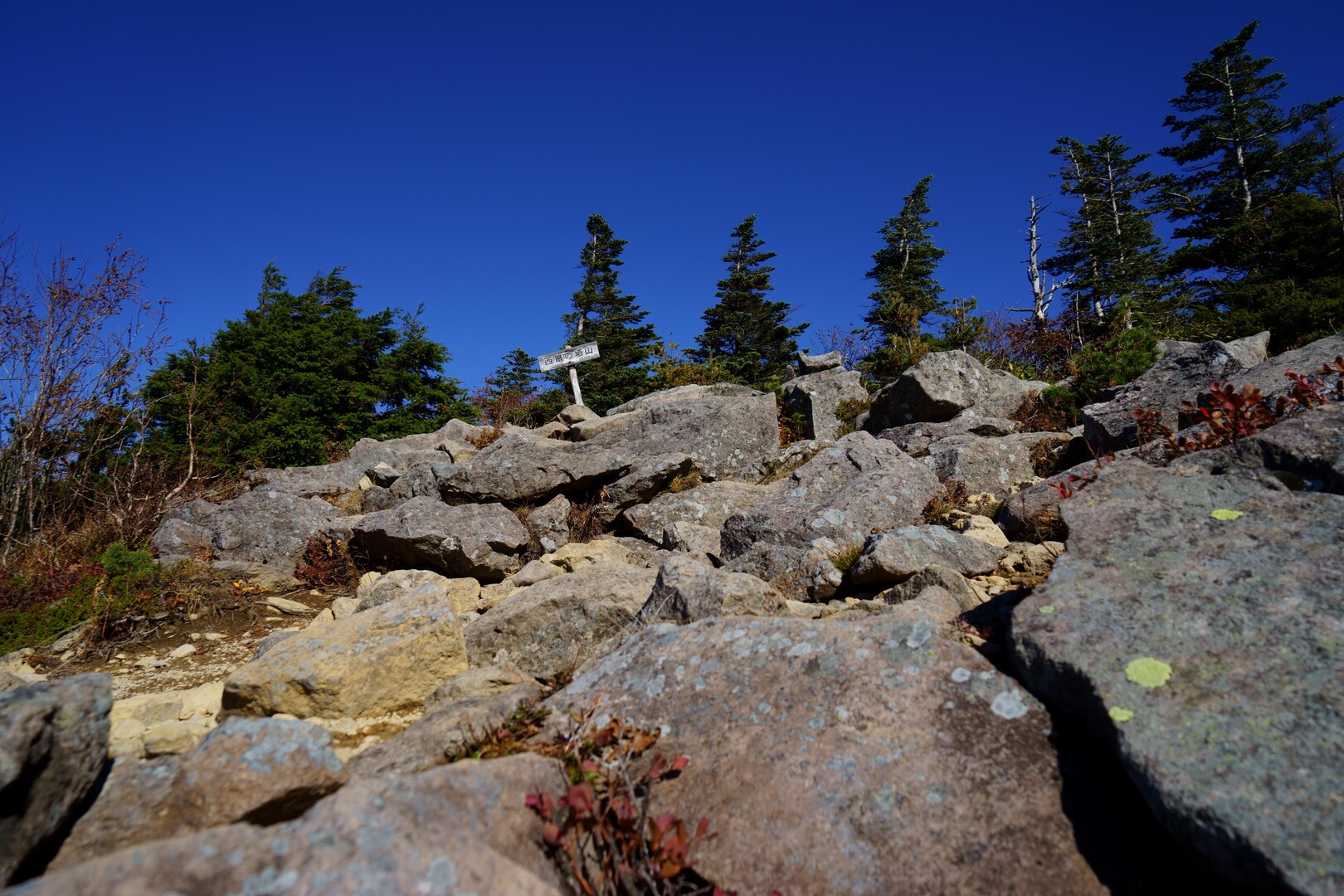 秋の水ノ塔山・篭ノ登山 / nyさんの浅間山・黒斑山・篭ノ登山の活動データ | YAMAP / ヤマップ