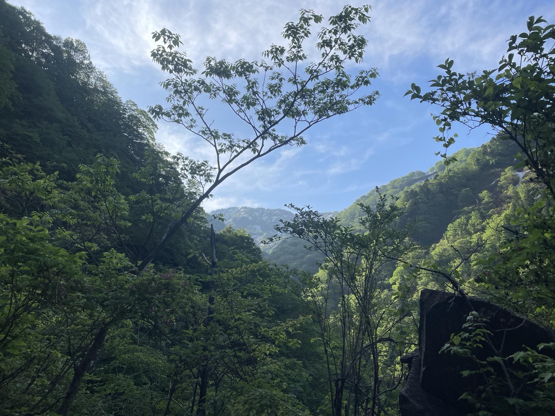 奥三方山 2025-05-18 / sawaさんの奥獅子吼山・口三方岳・烏帽子山の活動データ | YAMAP / ヤマップ
