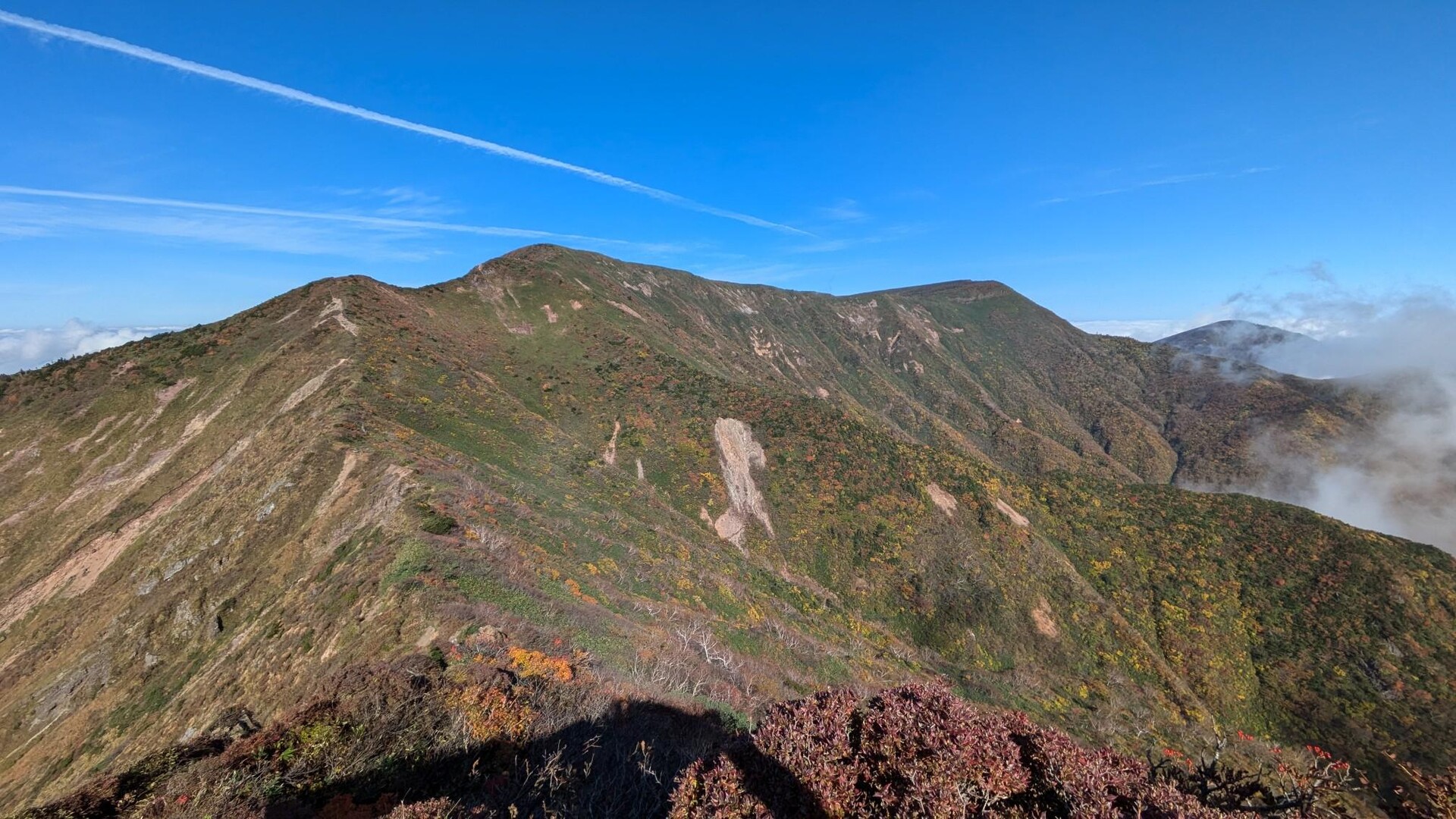 不忘山 白と青と紅葉と🍁 / nononさんの蔵王山・雁戸山・不忘山の活動データ | YAMAP / ヤマップ